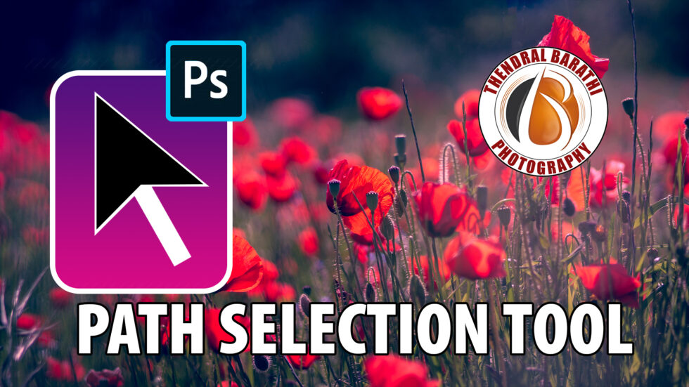 Path selection tool in Photoshop | Explain in Tamil - Thendral Barathi