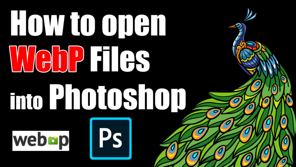 How to open WebP files into Photoshop - Thendral Barathi